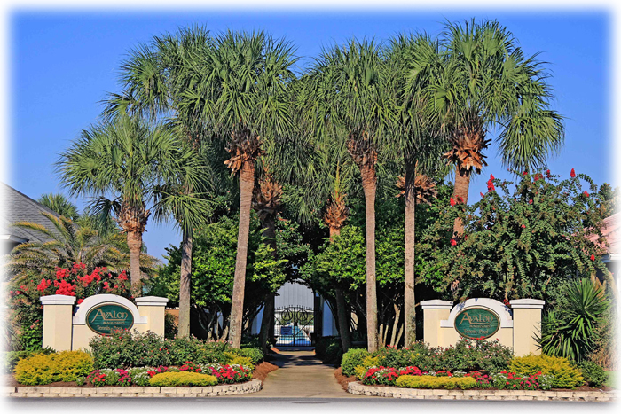 Picture Below Shows Avalon's New Beach Dune Walkover